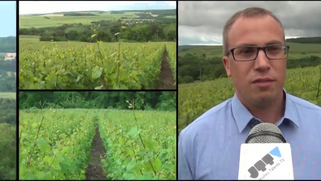 Jeunes Talents du Champagne 2016 : Benjamin Rogge du Champagne Rogge ...